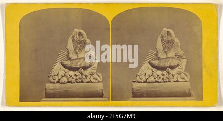Silurian Fossils. Wenlock formation, Dudley, Unknown, about 1865 ...