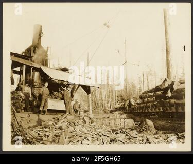 Logging/ Timber Scene. Darius Kinsey (American, 1869 - 1945 Stock Photo ...