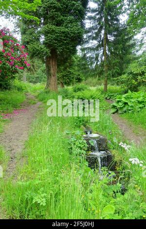 Ravine path - Chatsworth House - Derbyshire, England Stock Photo - Alamy
