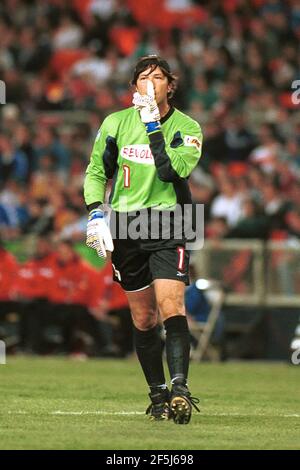 Goalkeeper Walter Zenga of the New England Revolution Stock Photo - Alamy