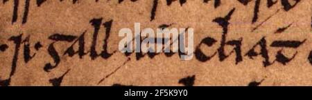 Ragnall mac Torcaill MS Rawlinson B 488, folio 23r) 1 Stock Photo - Alamy