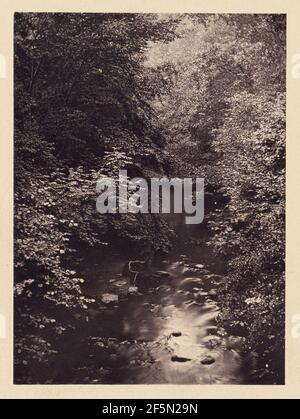 Forest scene, Arthur Brown (British, active 1850s), Saltburn-on-the-Sea ...