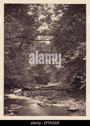 Forest stream, Arthur Brown (British, active 1850s), Saltburn-on-the ...