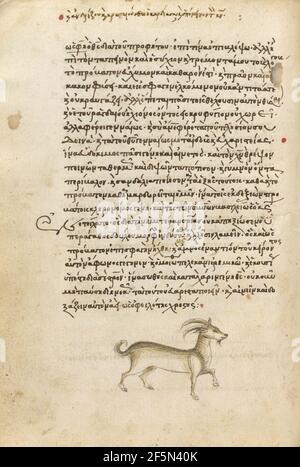 A Goat. Unknown Stock Photo - Alamy