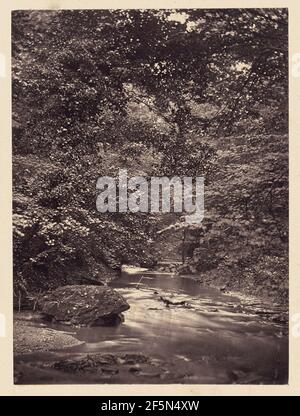 Forest stream, Arthur Brown (British, active 1850s), Saltburn-on-the ...
