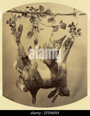 Still Life with Dead Animals; William Despard Hemphill, M.D., Irish ...