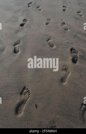A closeup shot of a footstep on the sand Stock Photo - Alamy