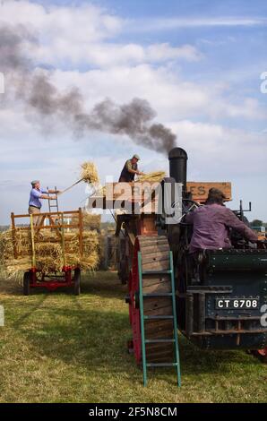 A Wheat Harvest Steam Traction Engine Threshing Machine Stock Photo - Alamy