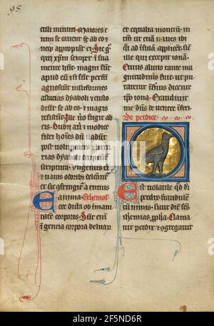 A Partridge. Unknown Stock Photo - Alamy