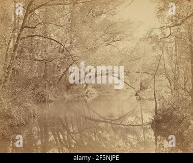 Nature Studies; Achille Quinet, French, 1831 - 1900, France; about 1875 ...