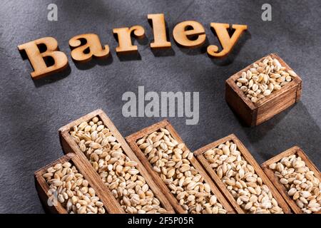 Barley word in wooden letters - Hordeum vulgare Stock Photo - Alamy