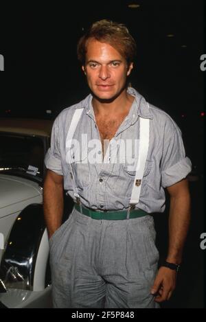 David Lee Roth Credit: Ralph Dominguez/MediaPunch Stock Photo - Alamy