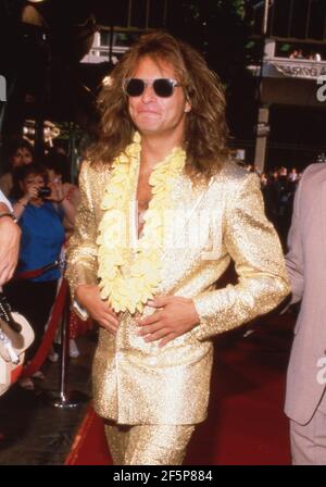 David Lee Roth 1985 Credit: Ralph Dominguez/MediaPunch Stock Photo - Alamy