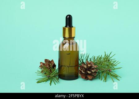 Pine oil, cones and twigs on mint background Stock Photo - Alamy