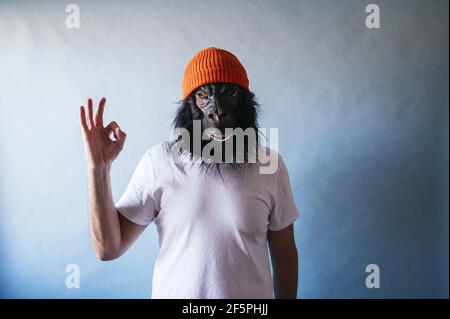 Male in a chimpanzee mask gesturing the like sign Stock Photo - Alamy