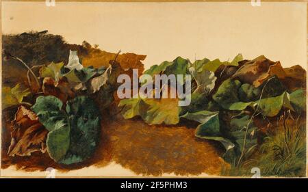 Large Butterburr Leaves and Grass; Gilles-François-Joseph Closson ...