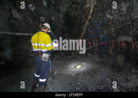 Geologist sampling ore and marking drilling instructions in underground ...