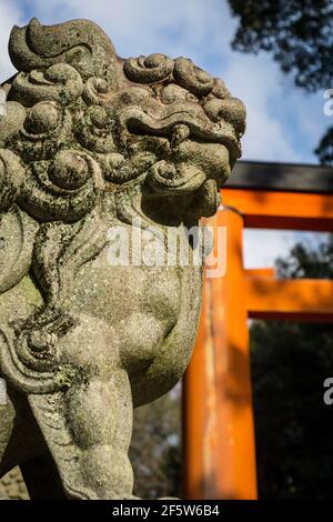 Komainu, or lion-dog, statue at Kasuga jinja shinto shrine, Kanazawa ...
