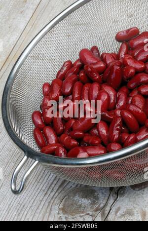 Red kidney beans in sieve, kidney beans Stock Photo - Alamy