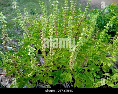 salvador, bahia / brazil - december 29, 2013: People are seen at Porto ...