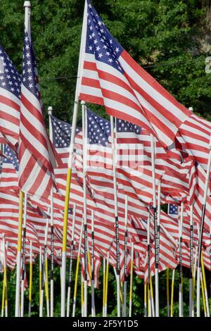 Many American flags on the National Mall in Washington DC Stock Photo ...