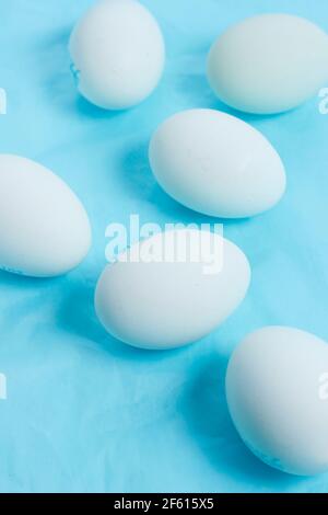 Chicken eggs with natural blue shells displayed on blue background. UK ...