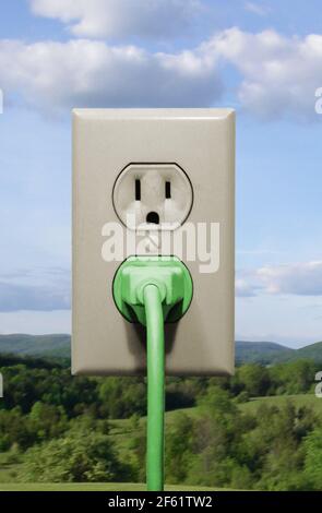 the green sockets Stock Photo - Alamy
