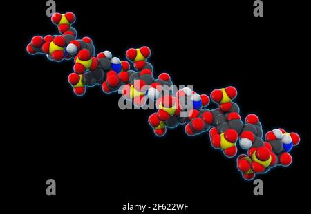 Heparin, Molecular Model Stock Photo - Alamy