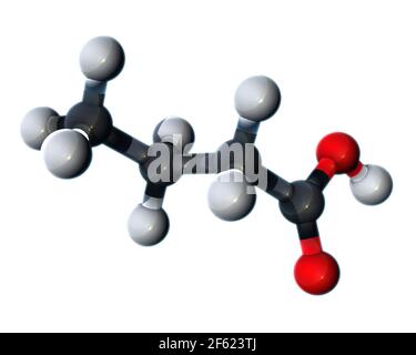 Butyric acid. Molecular model of the carboxylic acid and fatty acid ...