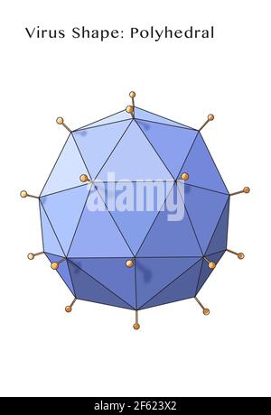 Virus Shape, Polyhedral, Illustration Stock Photo - Alamy
