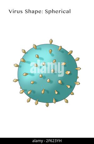 Virus Shape, Enveloped, Illustration Stock Photo - Alamy