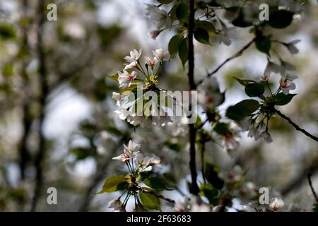 paysage landscape during 2017 Formula 1 FIA world championship, China ...