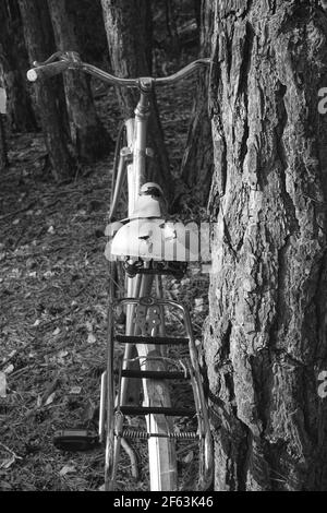 Abandoned bicycle city bike with missing rear wheel Stock Photo - Alamy