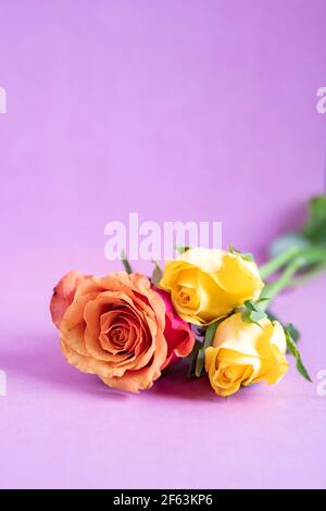 Red rose on grunge background Stock Photo - Alamy