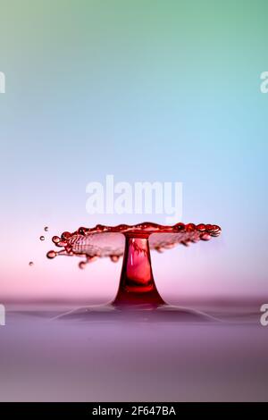 Moment of water drops colliding on pink background. Abstract natural ...