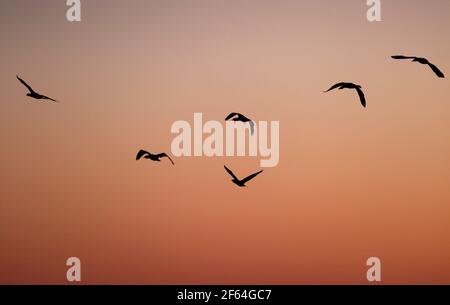Utting, Germany. 30th Mar, 2021. A man stands next to the wooden diving ...