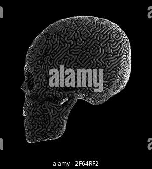 Side View of an Evil Skull Stock Photo - Alamy