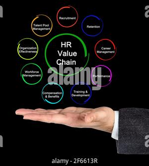 HR Analytic Value Chain Stock Photo - Alamy