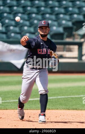 PHOENIX, AZ - MARCH 29: The MLB Opening Day logo adorns the batters box ...