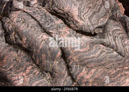Lewisian complex / Lewisian gneiss, close up of Precambrian metamorphic ...