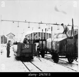 Transhipment of goods between freight wagon on normal tracks and ...