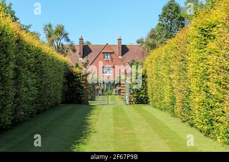 The King's Walk at East Ruston Old Vicarage Garden, East Ruston ...