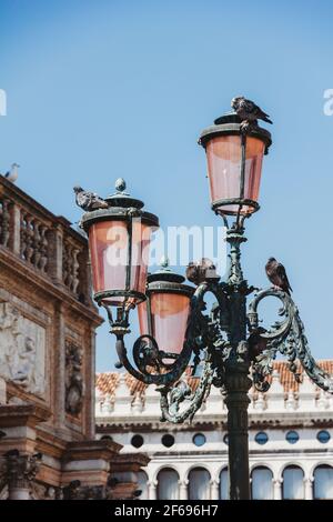 Lantern on the street of Venice. Pink lights of Venice. Four lamps with ...
