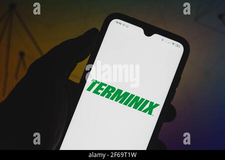 In this photo illustration a Terminix International Company logo seen ...