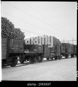 The state's railways, SJ freight wagons Stock Photo - Alamy