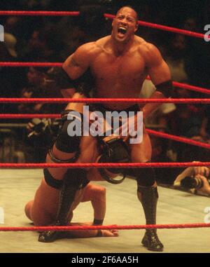 The Rock Dwayne Johnson and Stone Cold Steve Austin at Madison Square ...