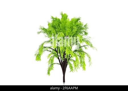 Realistic green deciduous tree isolated on white background - Vector ...