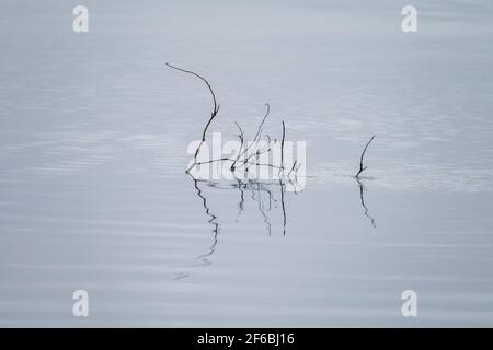 At Nudgee Beach Wetlands Stock Photo - Alamy