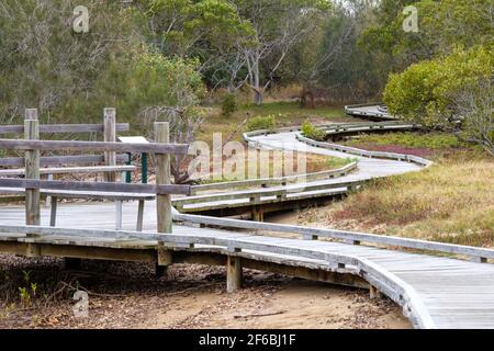 At Nudgee Beach Wetlands Stock Photo - Alamy