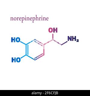 Norepinephrine molecule. molecular chemical structural formula and ...